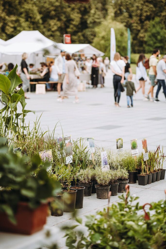Vasaros startas - įdomiausi renginiai birželio mėnesį Lietuvoje